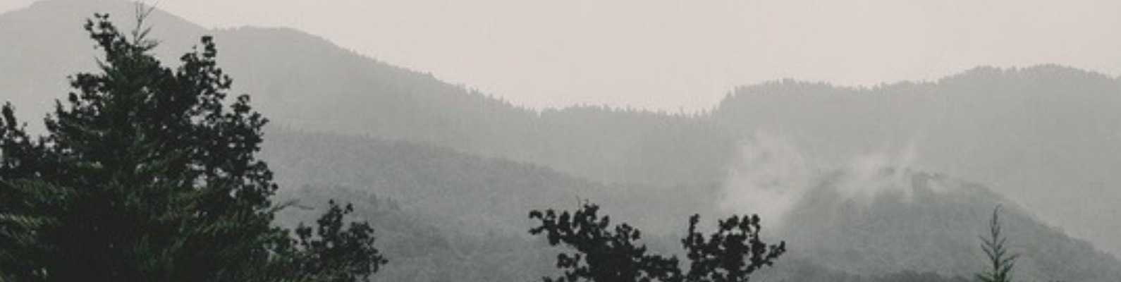 ♡Mark`s Corner(lightcoffee)♡ [АРХИВ] | ♡퓼퓾퓫퓼퓬퓻퓲퓫퓮.. 2025 | ВКонтакте